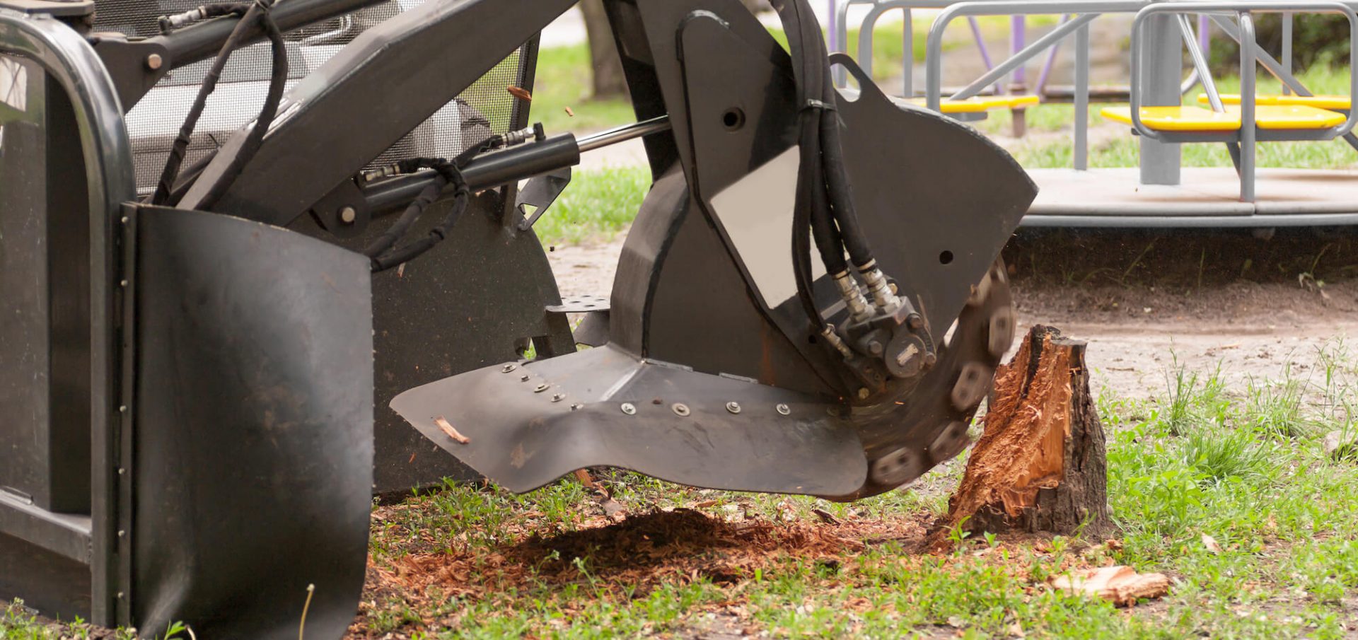 Professional Stump Grinding Services | Rancho Tree Care