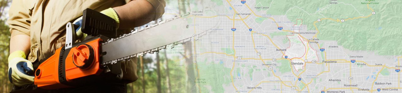 Affordable Tree Service Glendale, California | Rancho Tree Care