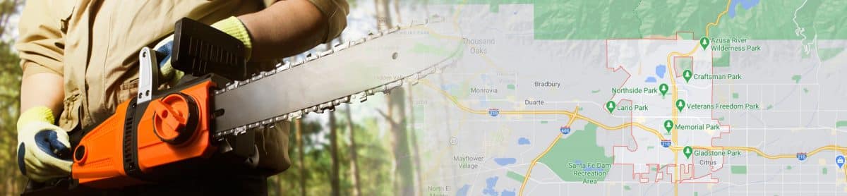 Tree Services Camarillo, California | Rancho Tree Care